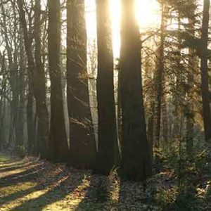 Workshops, vision quests, individual consultations